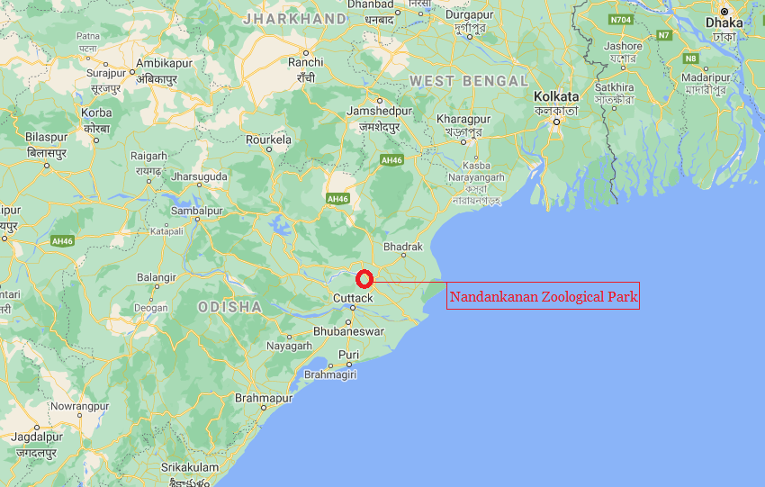 Nandankanan Zoological Park Is Located In