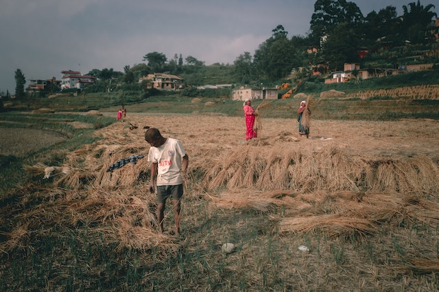 Paddy Straw Pelletisation And Torrefaction Plants - IAS Current Affairs
